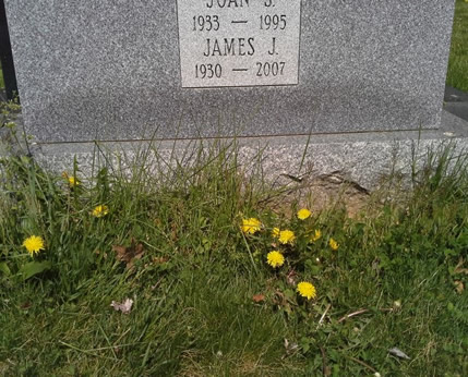 Memorials By Design :: Buyer's Guide